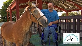 Naples Therapeutic Riding Center - GuideStar Profile