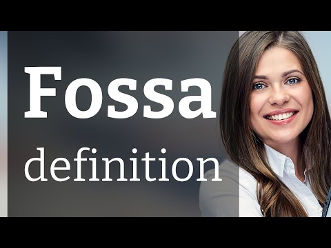 Fossa — what is FOSSA definition