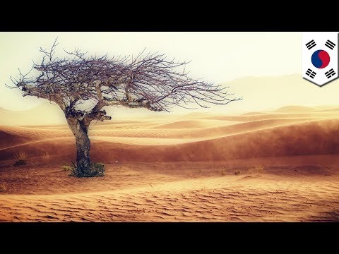 U.N. report warns of catastrophic climate change by 2040 - TomoNews