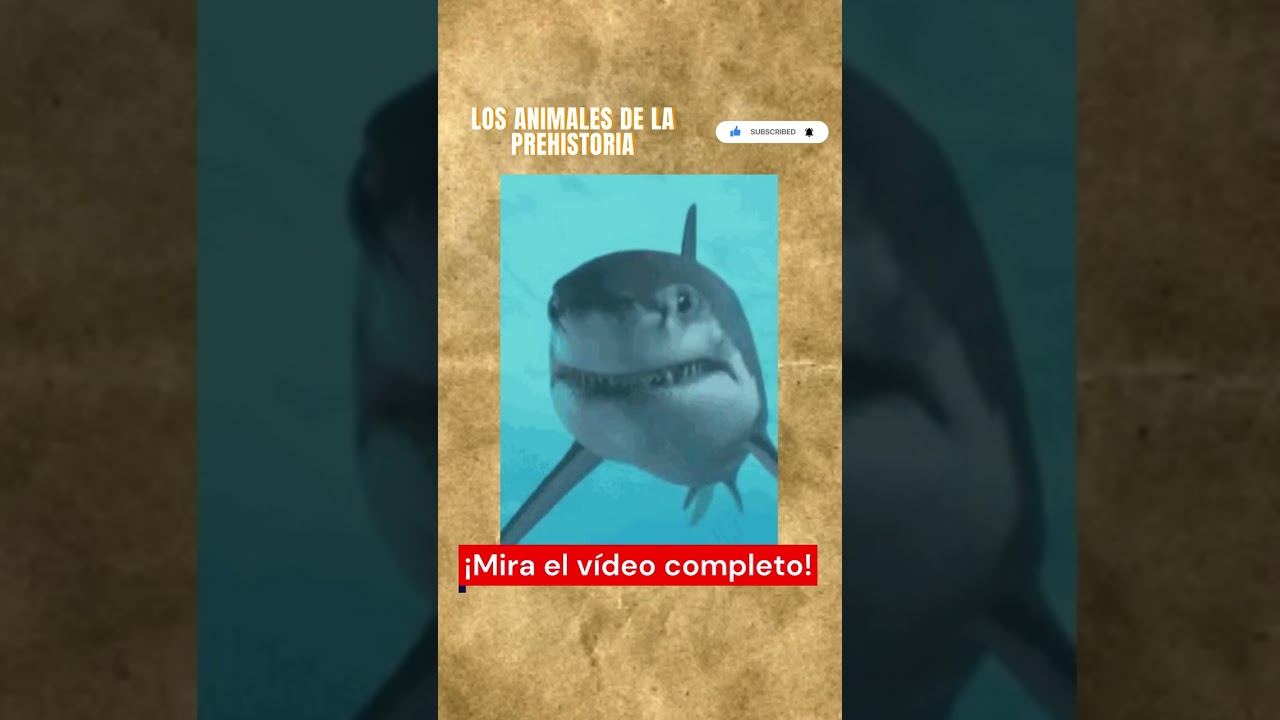 Datos interesantes sobre los animales de la prehistoria Parte 26 #animal #animales #prehistoria #din