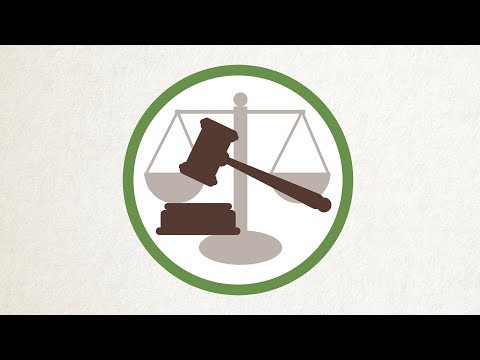 What is the Rule of Law?