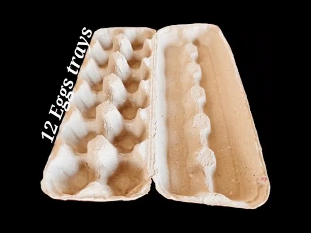 Paper egg trays - 30 Eggs Tray Manufacturer from Pune