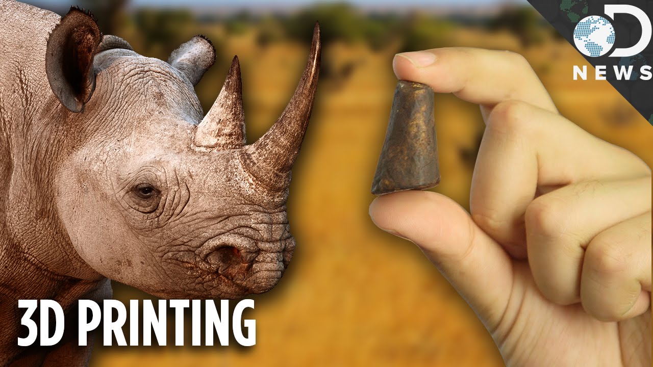 Can 3D Printing Save Rhinos From Extinction?