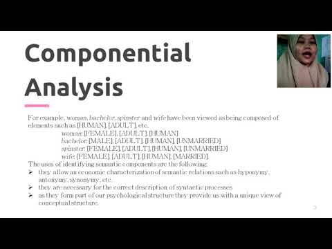 Componential Analysis
