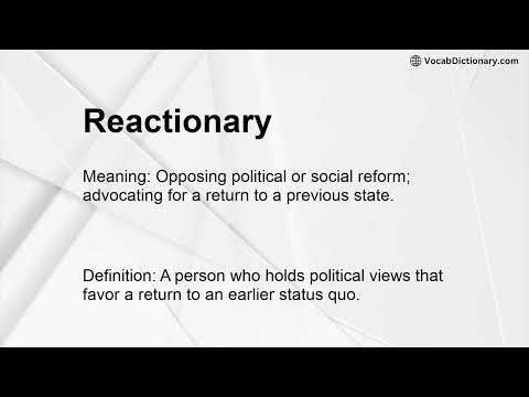 Reactionary Meaning