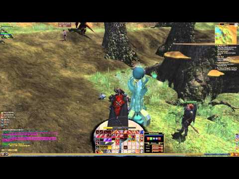 Everquest 2 - Words Of Pure Magic Vul'Kab Shrine (Rivervale)