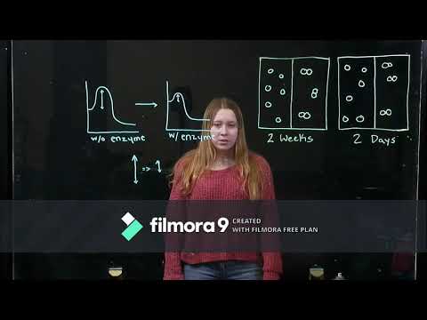 Enzymes and Equilibrium (BIOS 041)