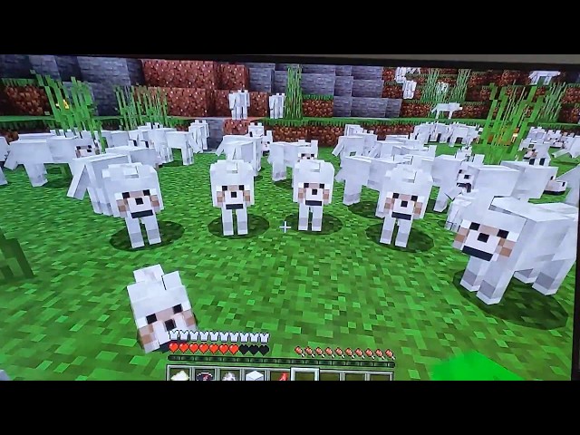 Top 5 dangerous animals in Minecraft