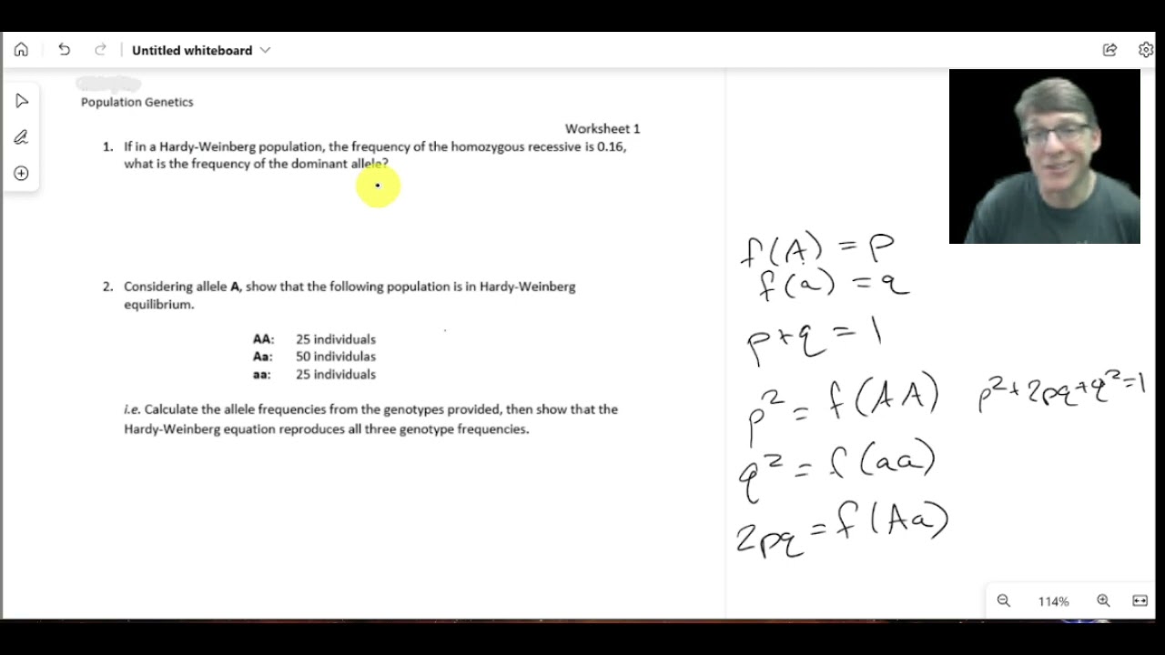 Genetics Problem Solving - Population Genetics Worksheet 1