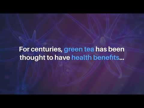 Aging-US | Green Tea Enhances Fitness and Lifespan of C. Elegans
