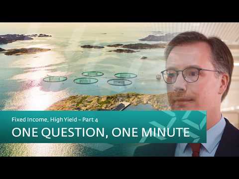 DNB Fixed Income, High Yield: One question, one minute, Part 4