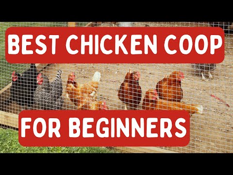 Best Budget Chicken Coop Run for 4+ Chickens (DIY Assembly) - PawHut 51" Review