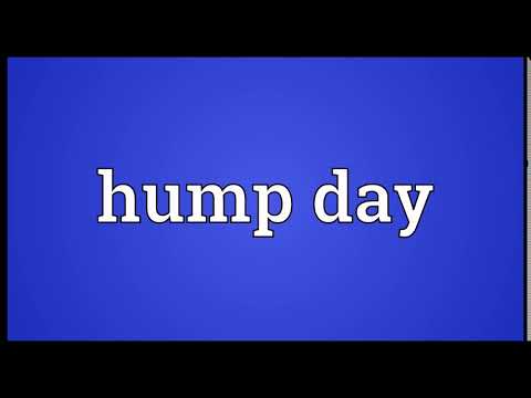 Hump day Meaning | Wordogram