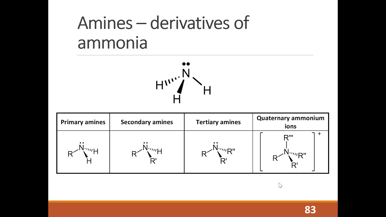 Part1 Introduction to Amines