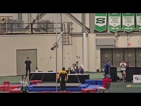 Eldar Bolgarov - Rings. 2025 Artistic Gymnastics Western Canadian Championship.