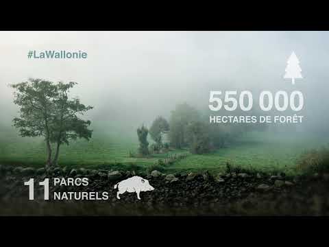 Présentation générale de la Wallonie