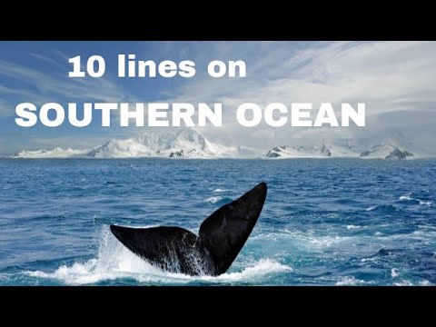 Southern Ocean essay/Antarctic Ocean essay/10 lines on Southern Ocean