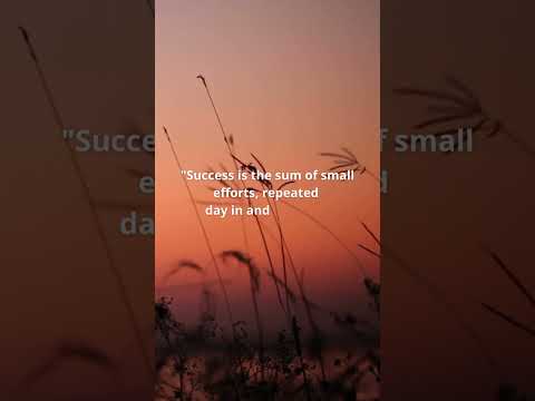 Success is the sum of small efforts, repeated day in and day out - Robert Collier