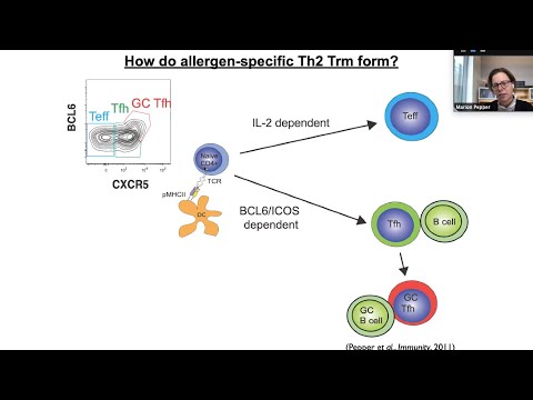 CD4 T cell memory in the lungs by Dr. Marion Pepper