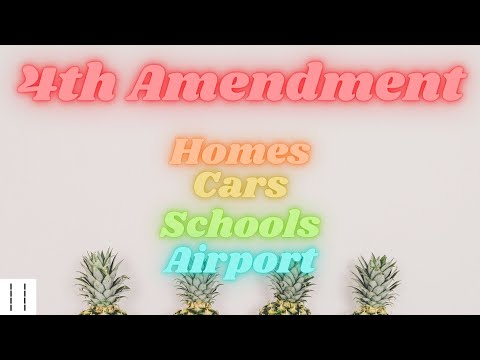 Basics 101: What Does the Fourth Amendment Mean Airport, Homes, Cars, Schools.