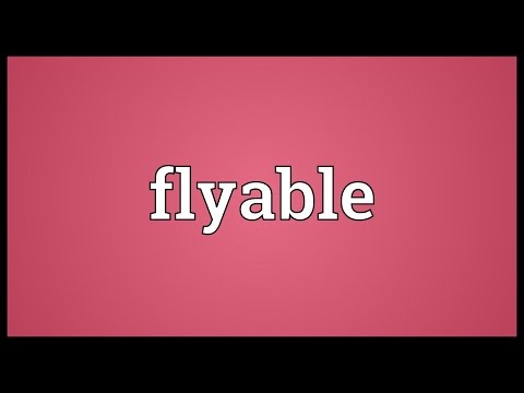 Flyable Meaning