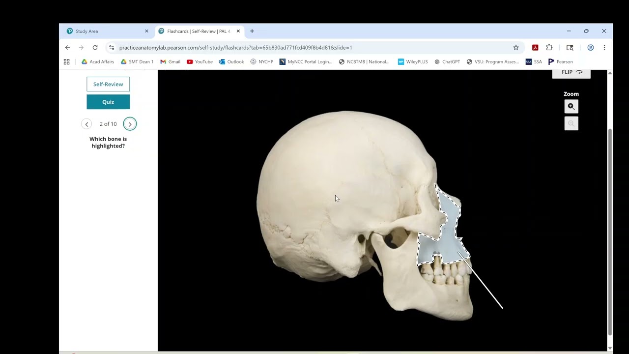 How to make Flashcards on Mastering A and P