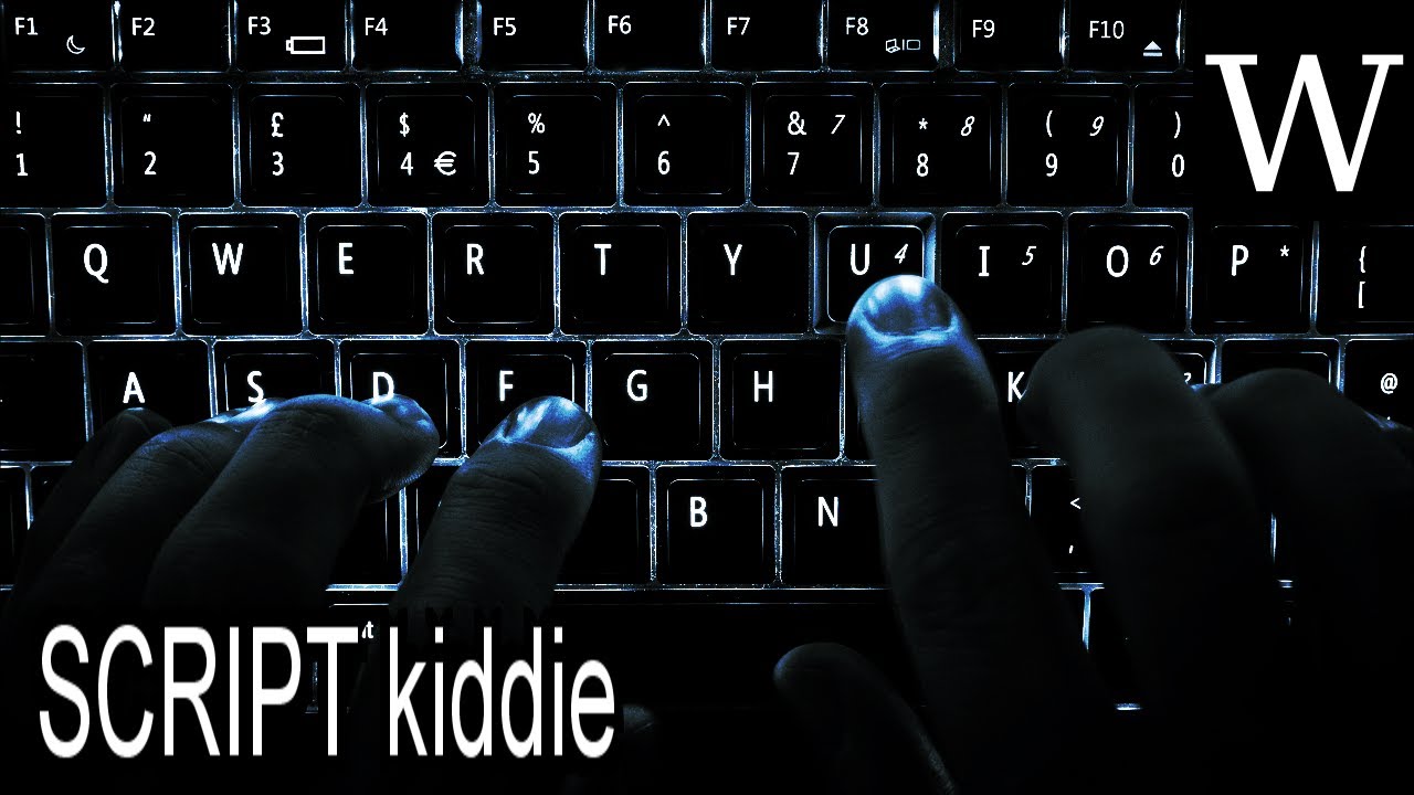 SCRIPT kiddie - WikiVidi Documentary