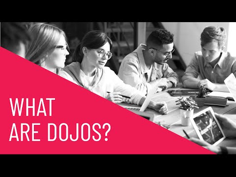 What Are Dojos?