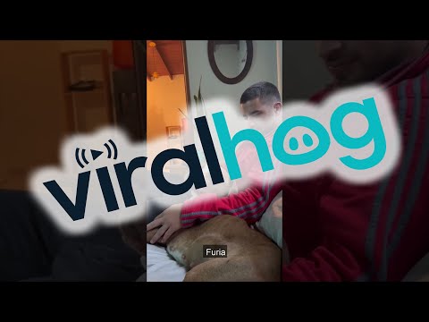 New Owners Discover Dog's Name || ViralHog
