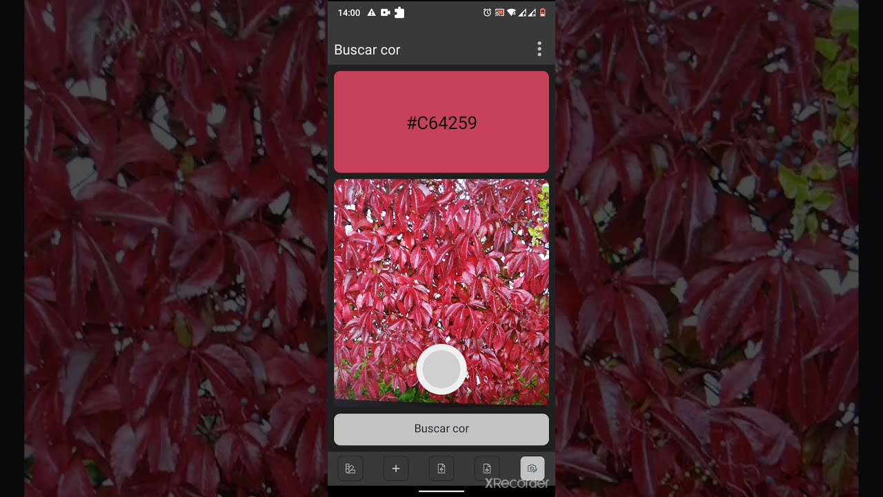 Campicker - Color selector - React Native App