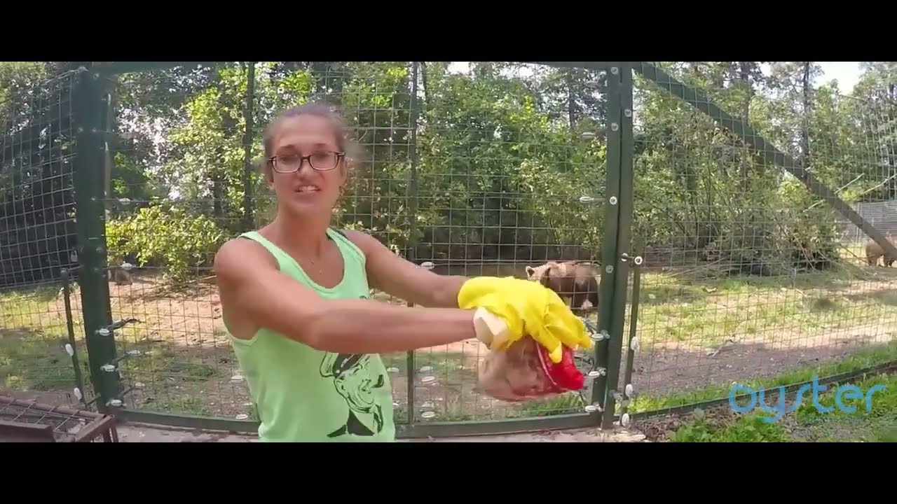 Volunteer with Bears in Romania | Help Protect Rescued Bears!