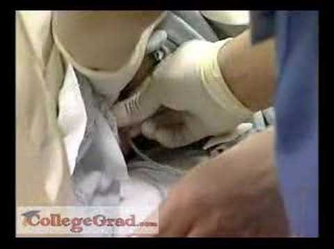 Cardiovascular Technologists and Technicians