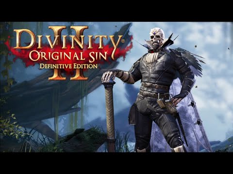 Divinity: Original Sin 2 - Definitive Edition Character Origins