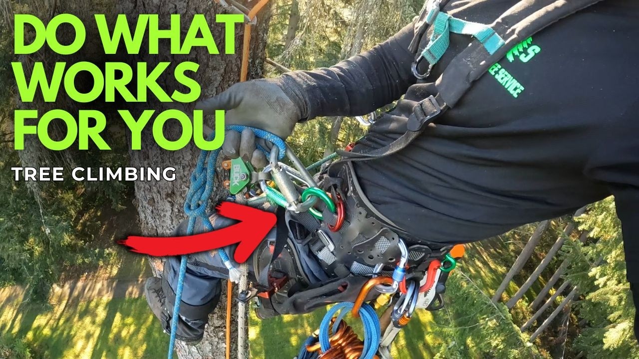 Tall Dead Fir Removal Plus 2 Trimming Jobs