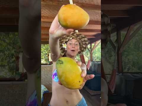 How to make Mango Ice Cream!