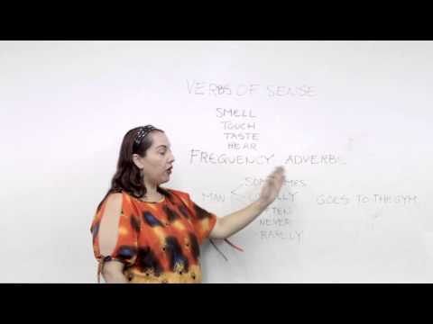 Verbs of sense vs action verbs, adverbs of frequency