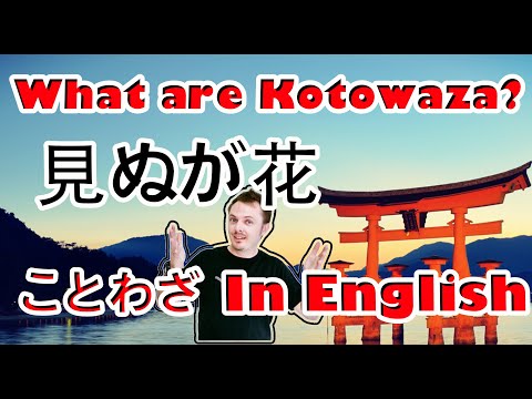 What are Japanese Kotowaza and Why you should learn them | 見ぬが花 英語 | Minu ga Hana | 諺
