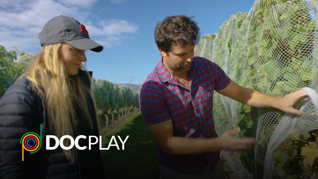 Vintage | Official Trailer | DocPlay