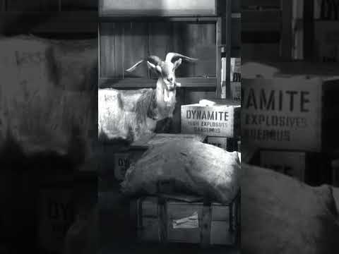 The Andy Griffith Show - The Loaded Goat #shorts #shortvideo #short #comedy
