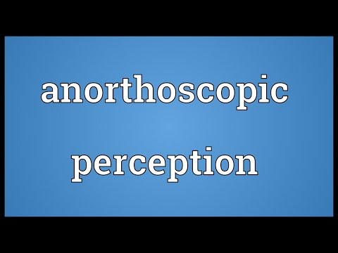 Anorthoscopic perception Meaning