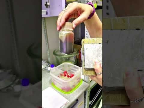 #nanochemistry #magnetic #nanoparticles #polysuccinimide #polymer #synthesis #medschoolmomof4