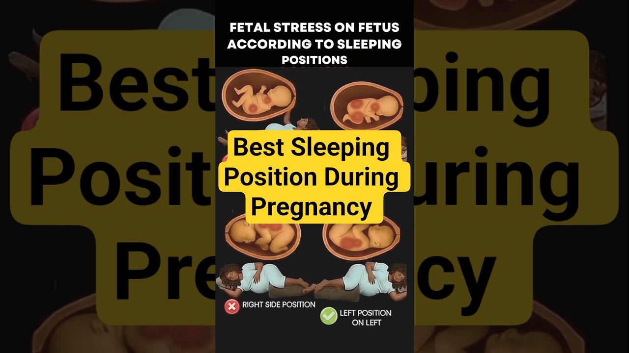 Best Sleeping Position During Pregnancy | Fetal Stress on Baby Explained Ep-1