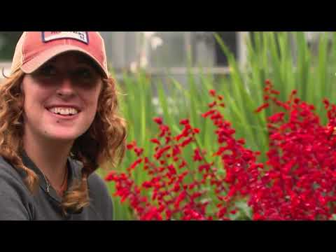 Tar Heel Traveler: NC Arboretum in Asheville