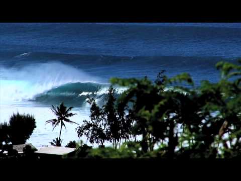 RAW THE MOVIE