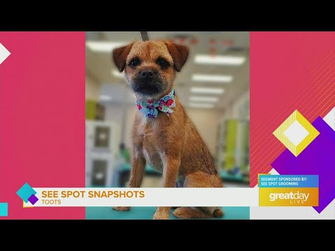 GDL: See Spot Snapshots on Great Day Live
