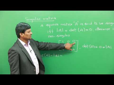 Singular Matrix