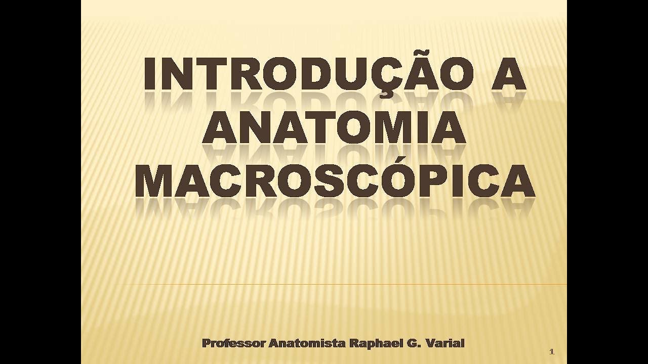 O Que é Anatomia Macroscópica