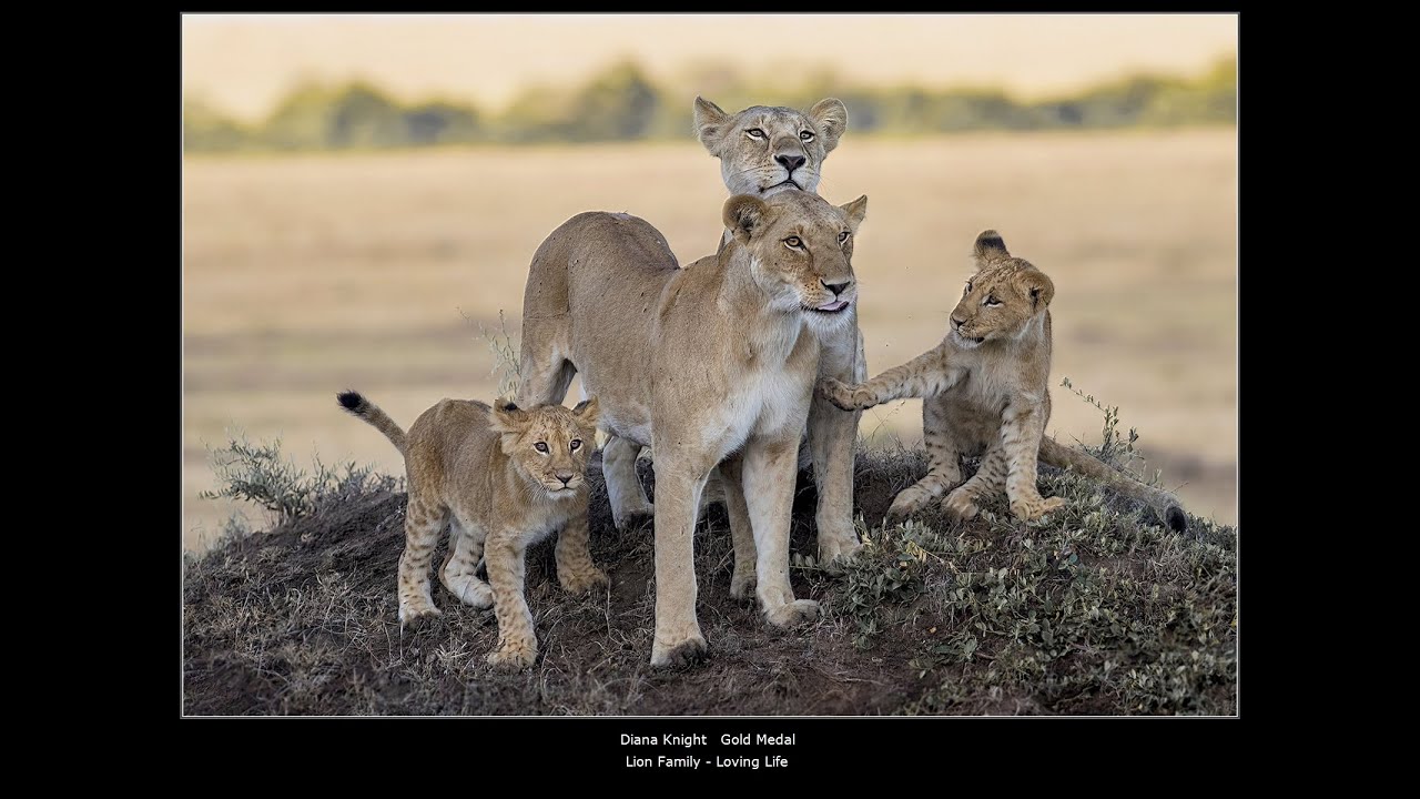 BG BPE 2022 Accepted Nature Images