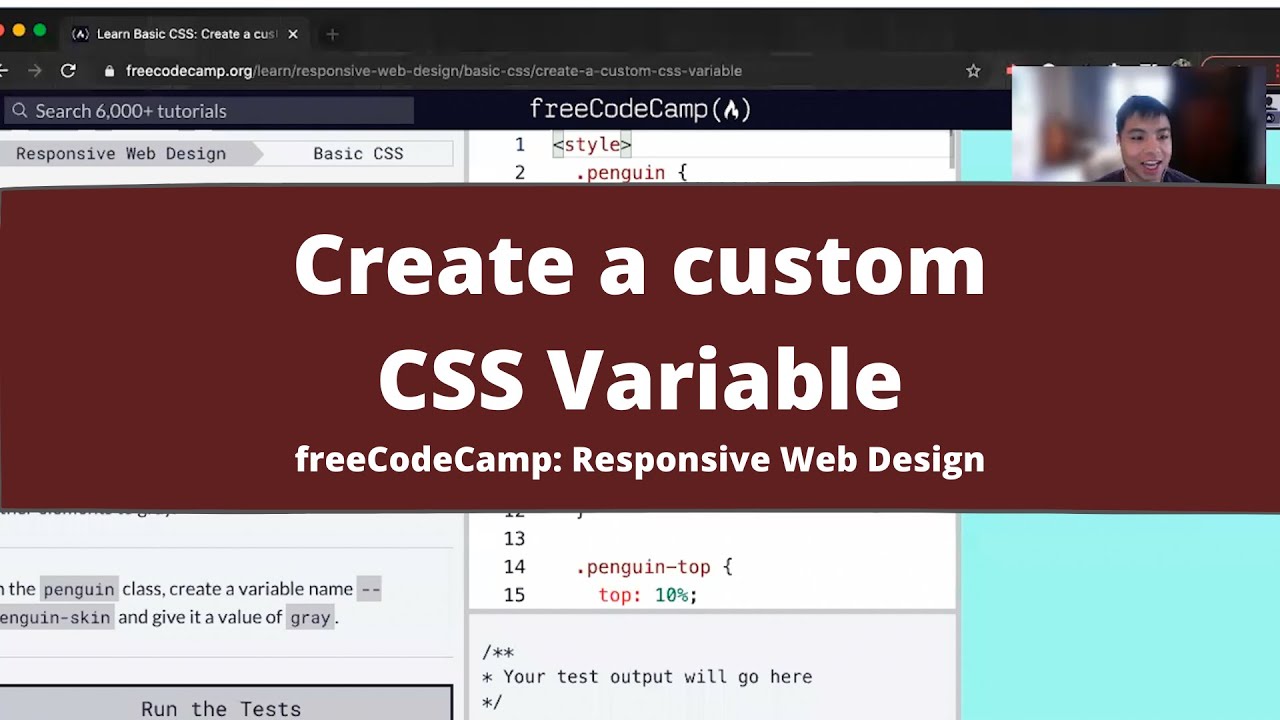 Create a custom CSS Variable (Basic CSS) freeCodeCamp tutorial