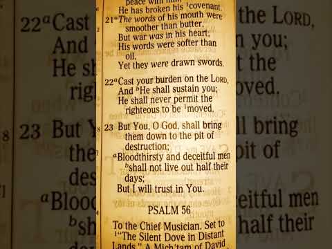 Psalm 55:22 (Cast your burden on The LORD, and HE shall sustain you.) JESUS IS LORD
